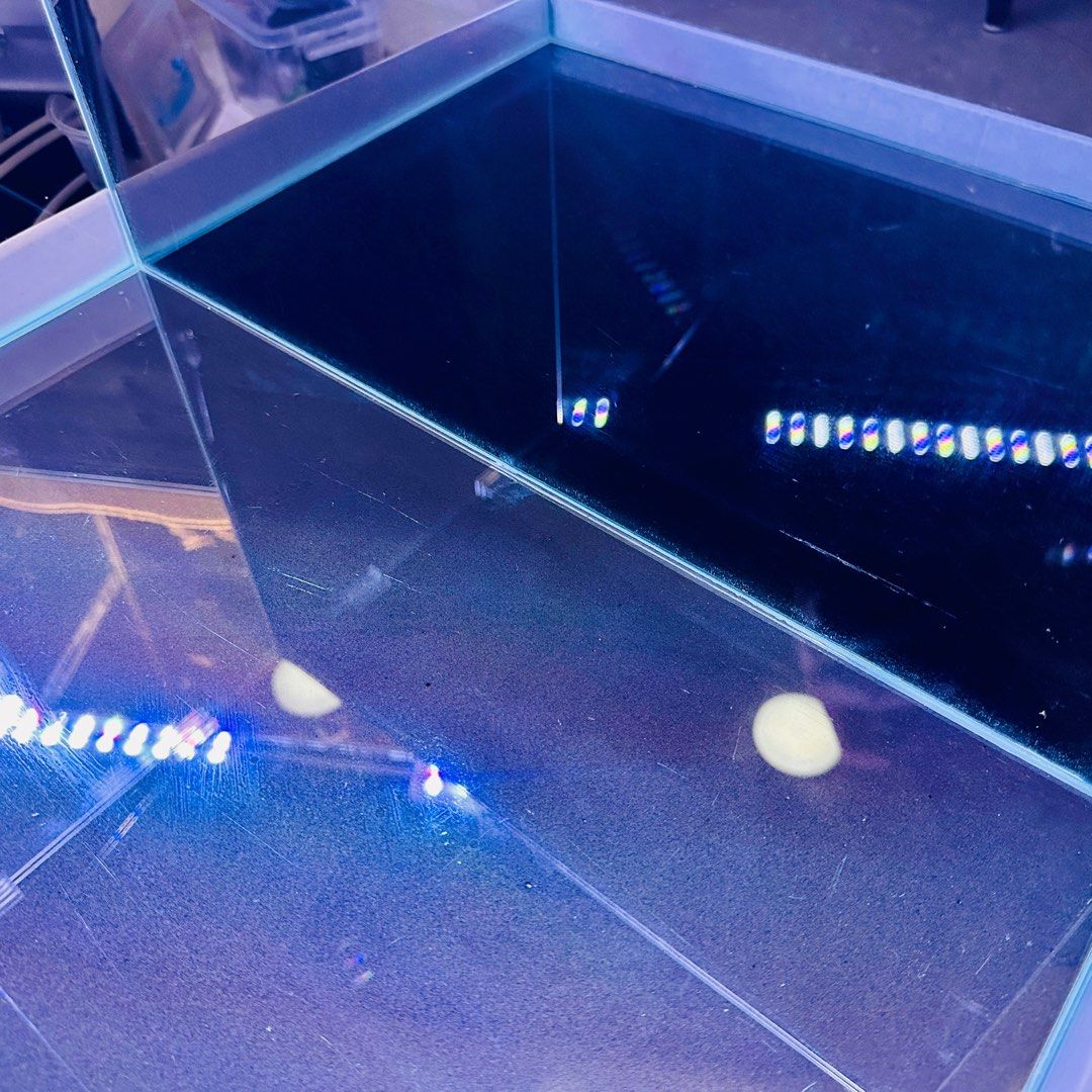 Crystal Glass Fish Tank 45CM, Pet Supplies, Homes & Other Pet ...