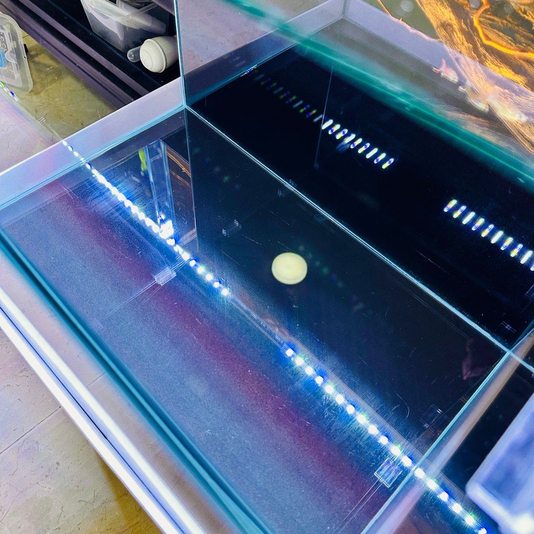 Crystal Glass Fish Tank 45CM, Pet Supplies, Homes & Other Pet ...