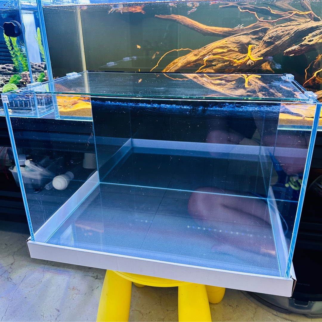 Crystal Glass Fish Tank 45CM, Pet Supplies, Homes & Other Pet ...