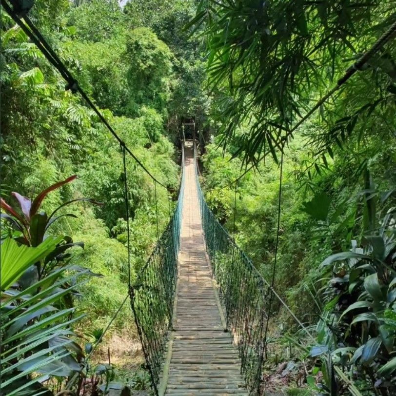 Kampo Trexo Alfonso Cavite, Property, For Sale, Lot on Carousell