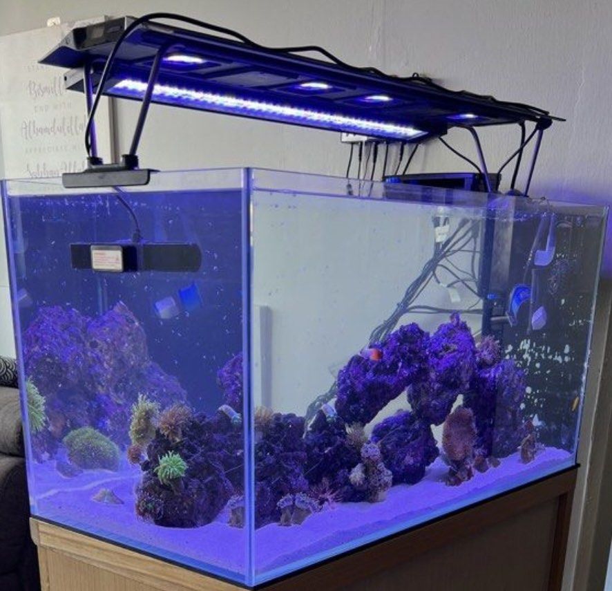 Maxspect RSX Razor XR5-200 Marine LED Aquarium Lighting, Pet Supplies ...