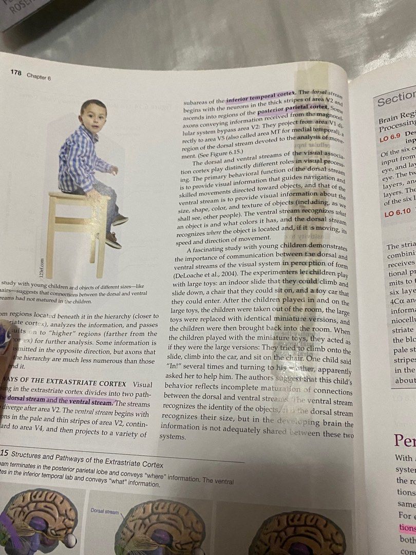 Physiology of Behavior 12th Edition by Neil Carlson and Melissa Birkett ...