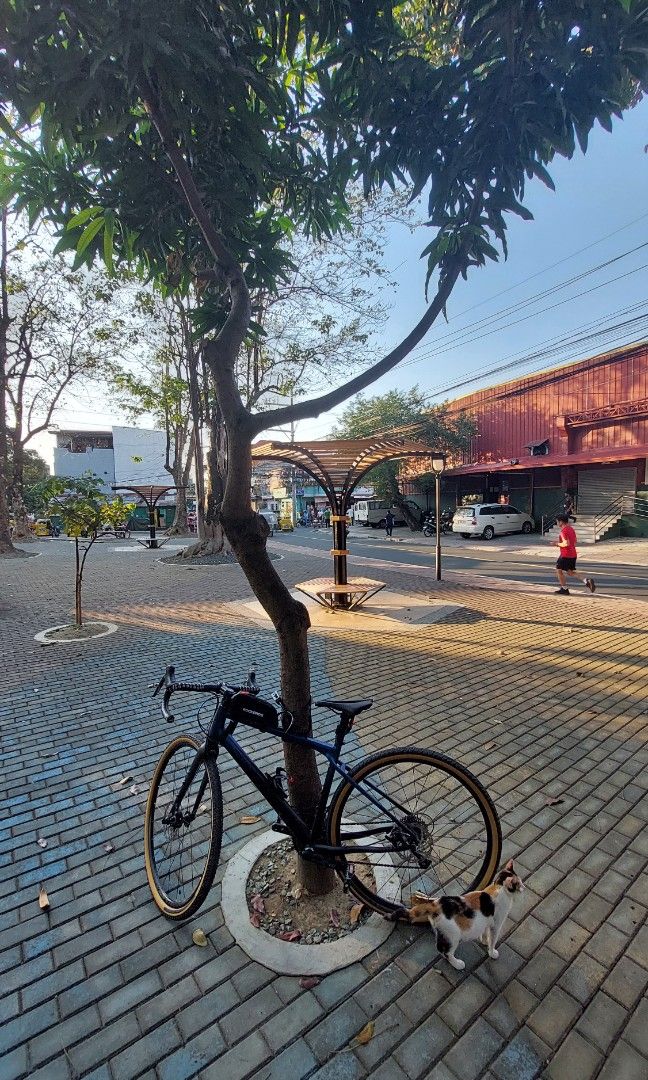 PINEWOOD LANCER 3.0 GRAVEL BIKE on Carousell