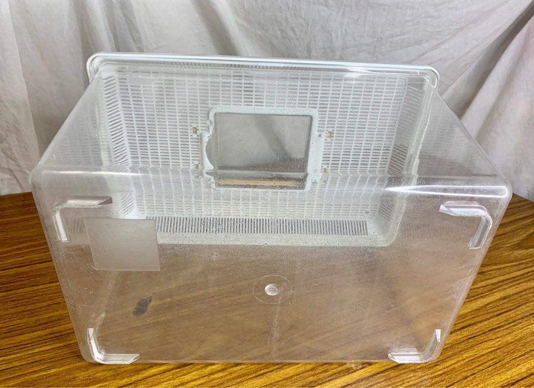Plastic fish tank, insects tank, small animals tank, Pet Supplies ...