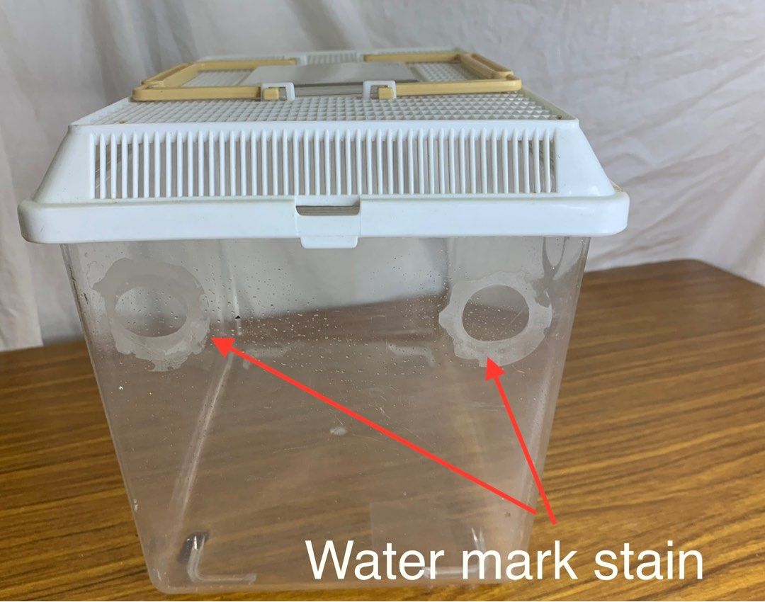 Plastic fish tank, insects tank, small animals tank, Pet Supplies ...