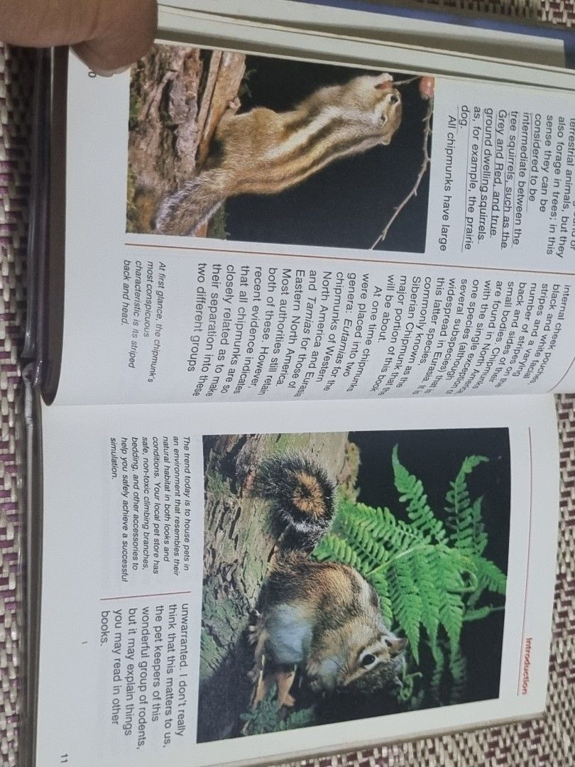 Vintage Chipmunks book By Chris Henwood, Hobbies & Toys, Books ...