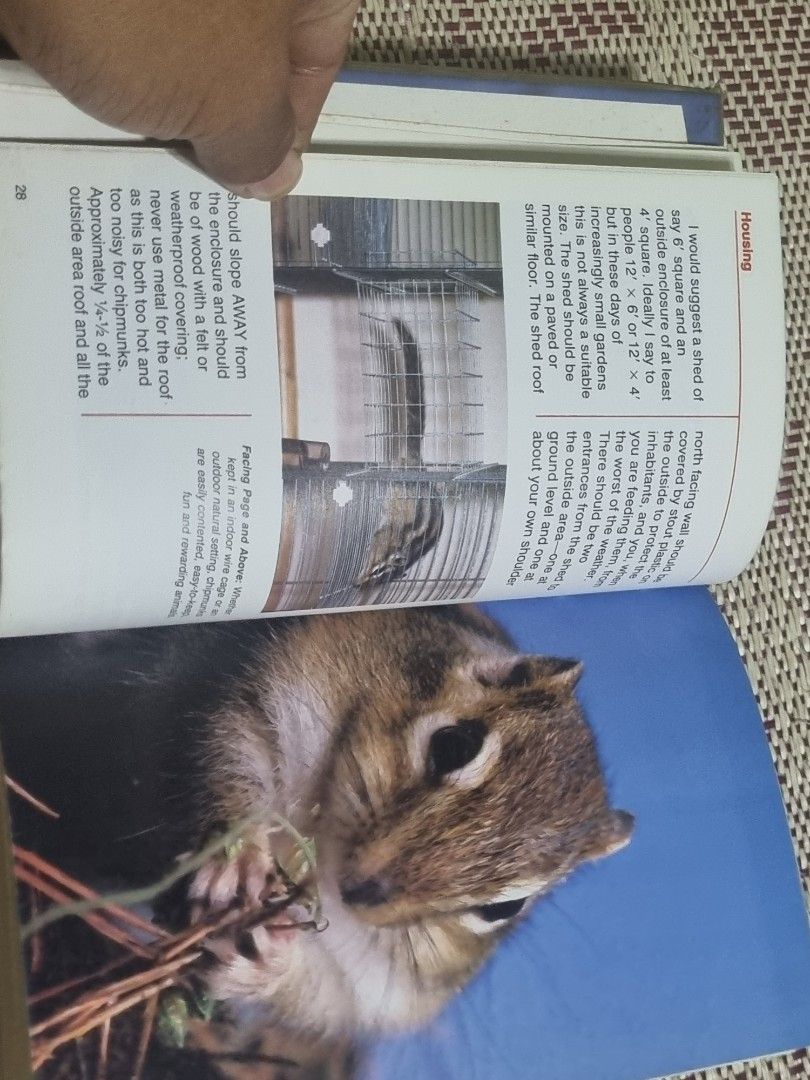 Vintage Chipmunks book By Chris Henwood, Hobbies & Toys, Books ...