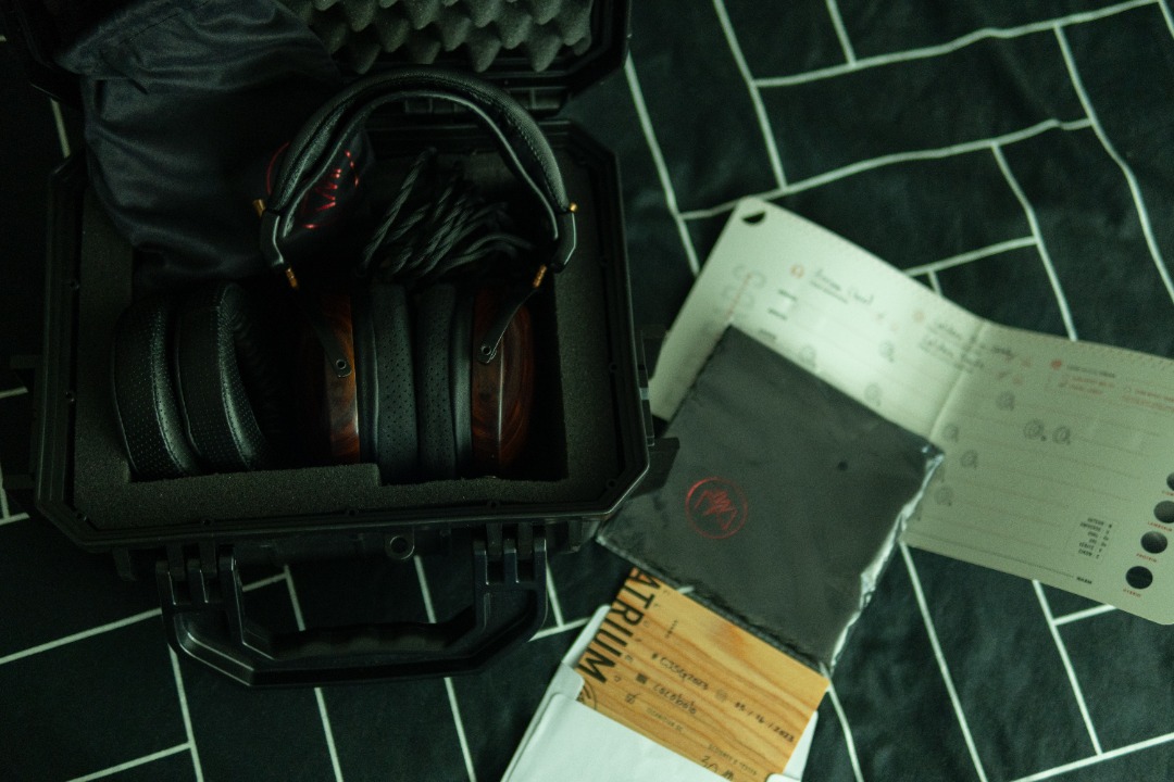 ZMF Atrium closed [LIMITED EDITION, COCOBOLO WOOD], Audio, Headphones ...