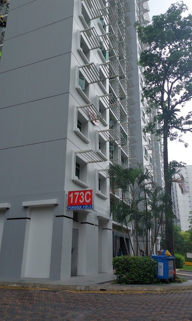 173c Punggol Field, Property, Rentals, HDB on Carousell