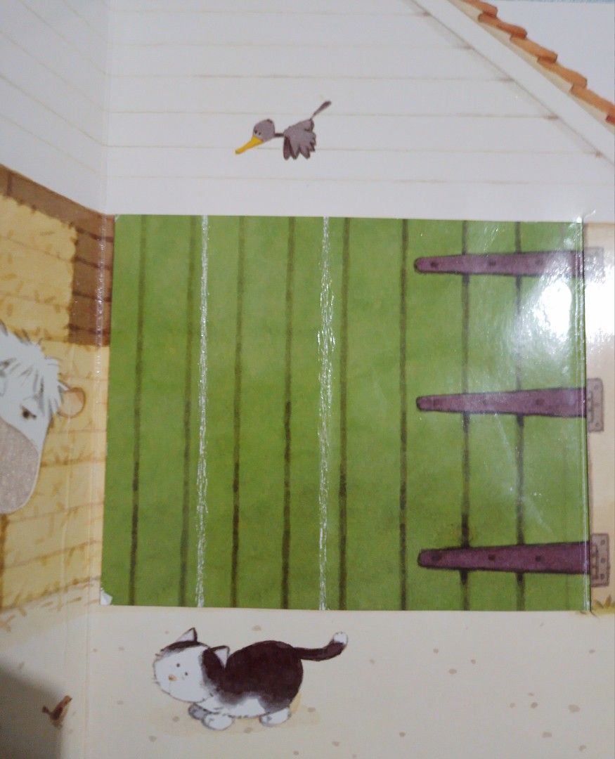 Animal Hide and Seek - boardbook on Carousell