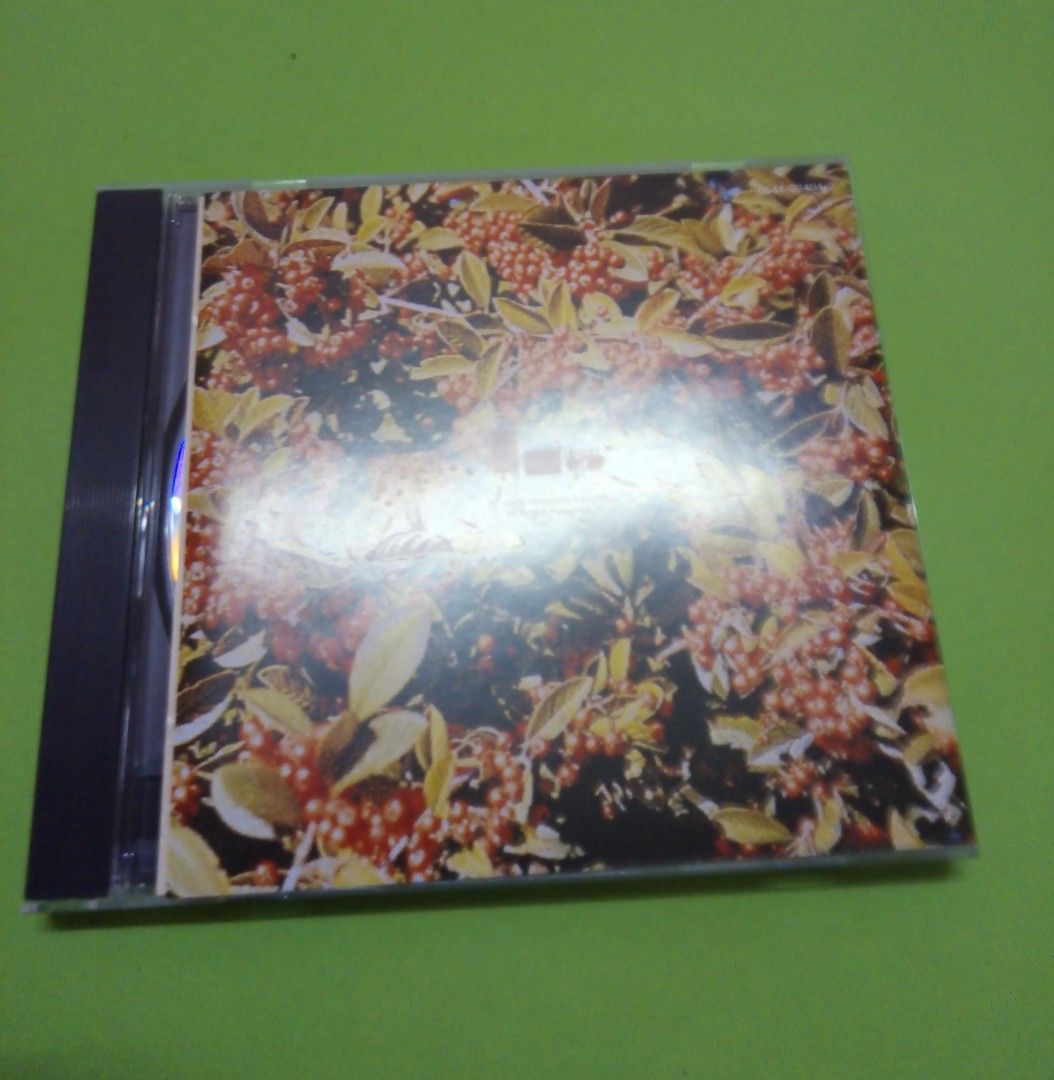 CD HELMET : BETTY ALBUM (1994) ALTERNATIVE METAL POST HARDCORE, Hobbies ...