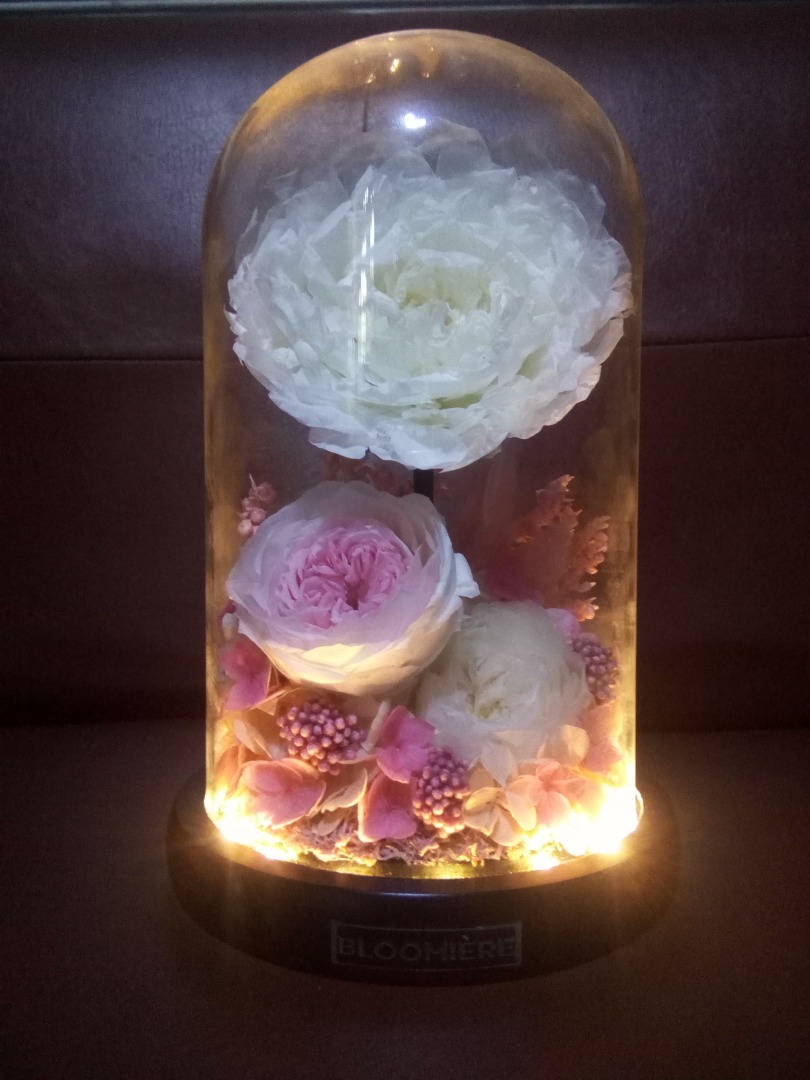 Collectible Bloomiere Preserved Flower Arrangement for Decor Display ...