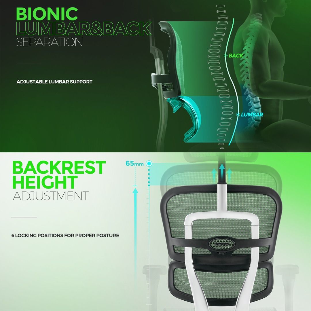 Ergonomic Office Chair Black Frame With Legrest ERGOHUMAN E2 ...