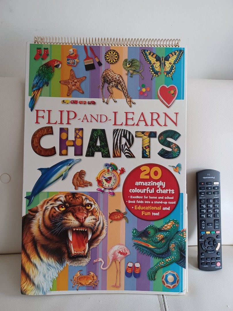Flip and Learn Charts 活動掛圖 翻頁書 , 兒童＆孕婦用品, 嬰兒玩具 - Carousell