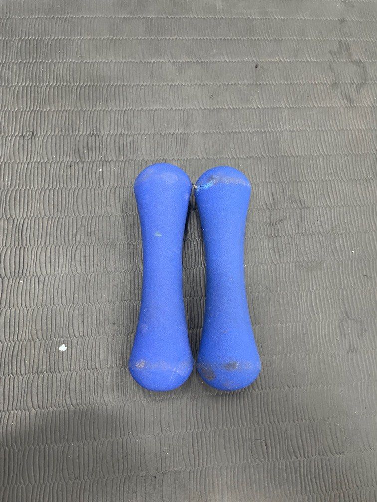 PAIR OF 1KG WEIGHTS, Sports Equipment, Other Sports Equipment and ...