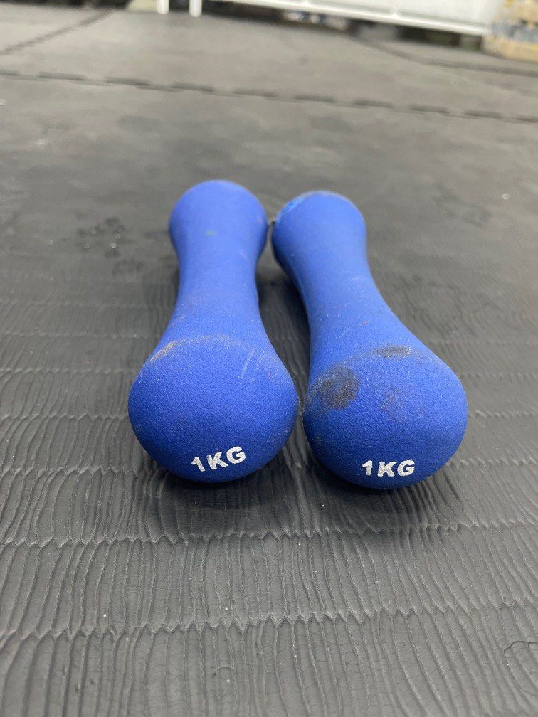 PAIR OF 1KG WEIGHTS, Sports Equipment, Other Sports Equipment and ...