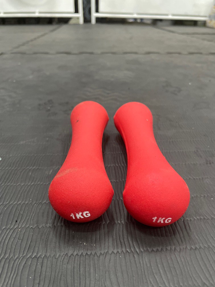PAIR OF 1KG WEIGHTS, Sports Equipment, Other Sports Equipment and ...