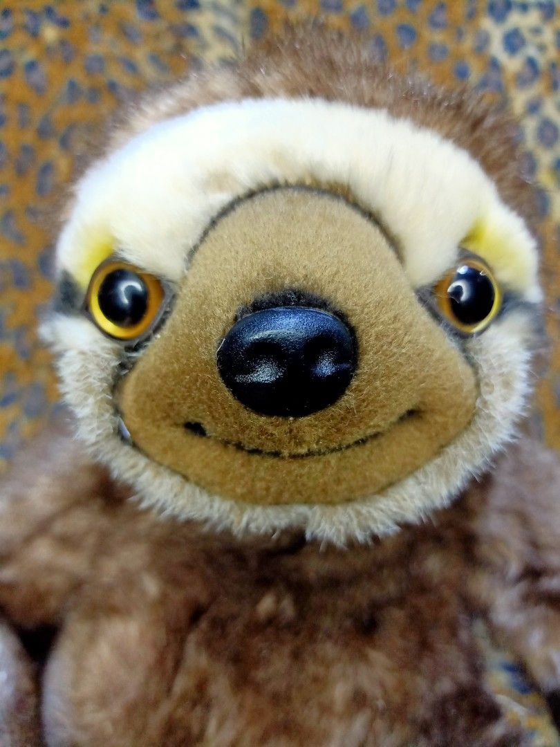 REALISTIC SLOTH PLUSH TOY WITH VELCRO HANDS, Hobbies & Toys, Toys ...