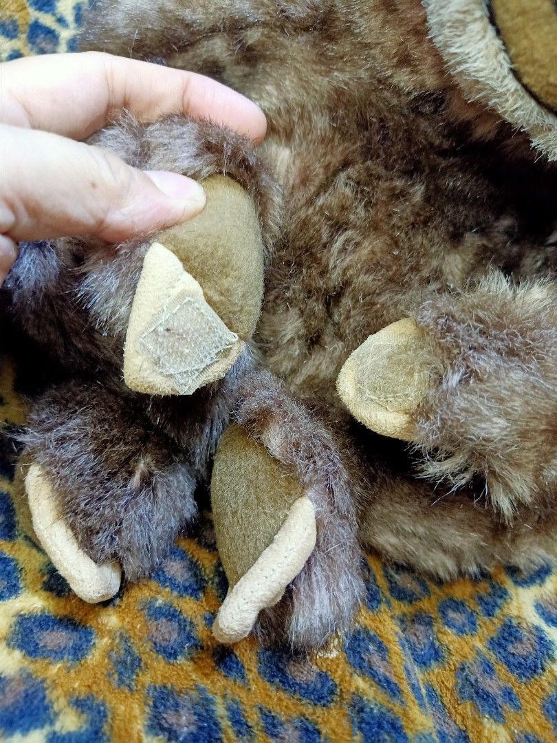 REALISTIC SLOTH PLUSH TOY WITH VELCRO HANDS, Hobbies & Toys, Toys ...