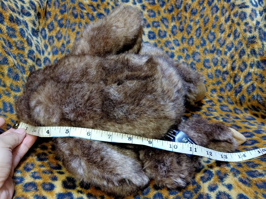 REALISTIC SLOTH PLUSH TOY WITH VELCRO HANDS, Hobbies & Toys, Toys ...