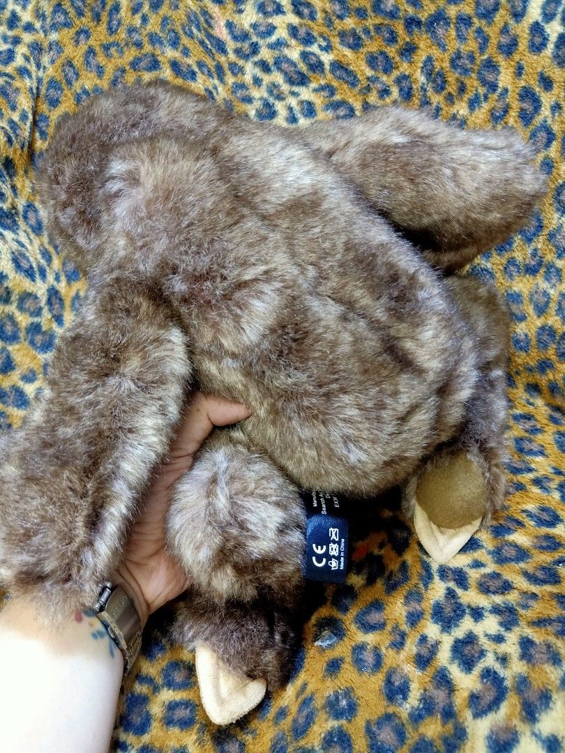 REALISTIC SLOTH PLUSH TOY WITH VELCRO HANDS, Hobbies & Toys, Toys ...