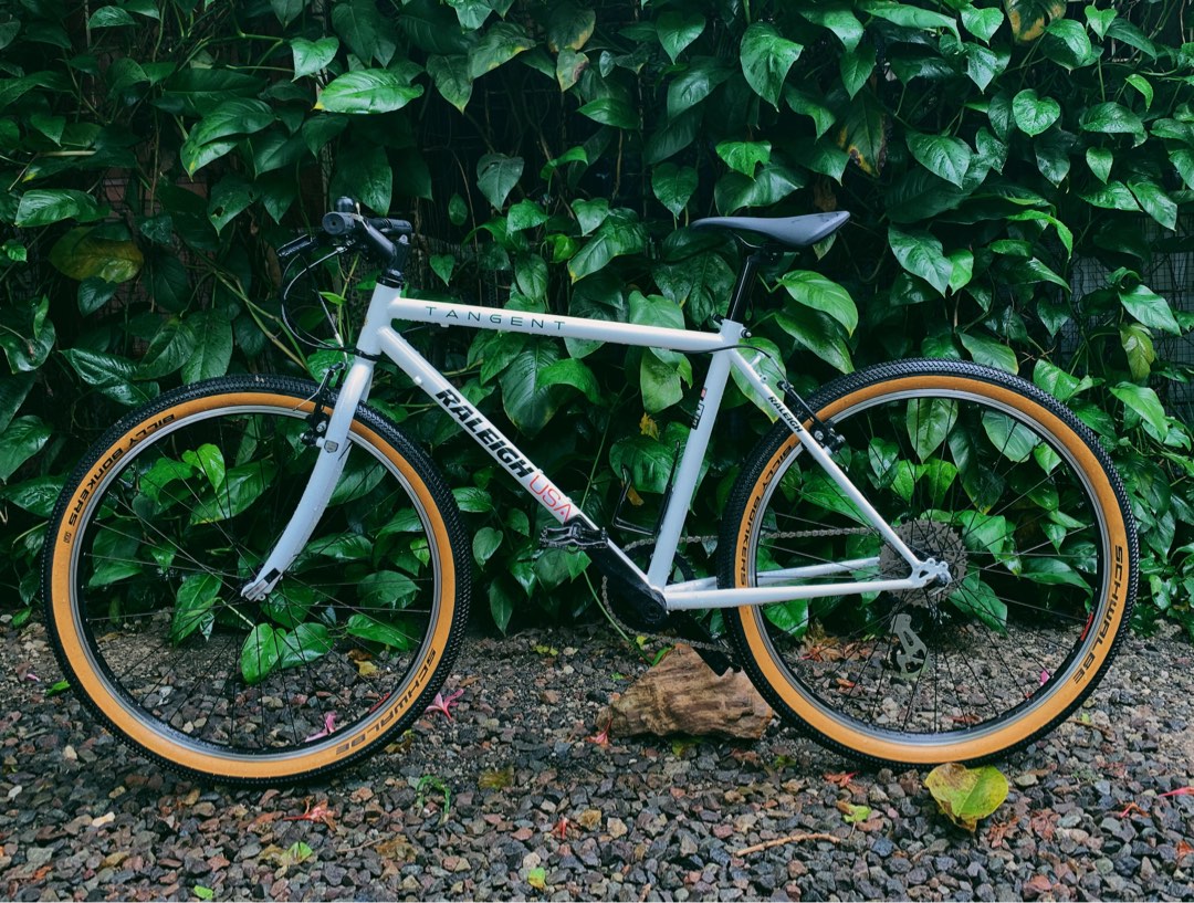 Sepeda classic mtb Raleigh, Olah Raga, Sepeda di Carousell