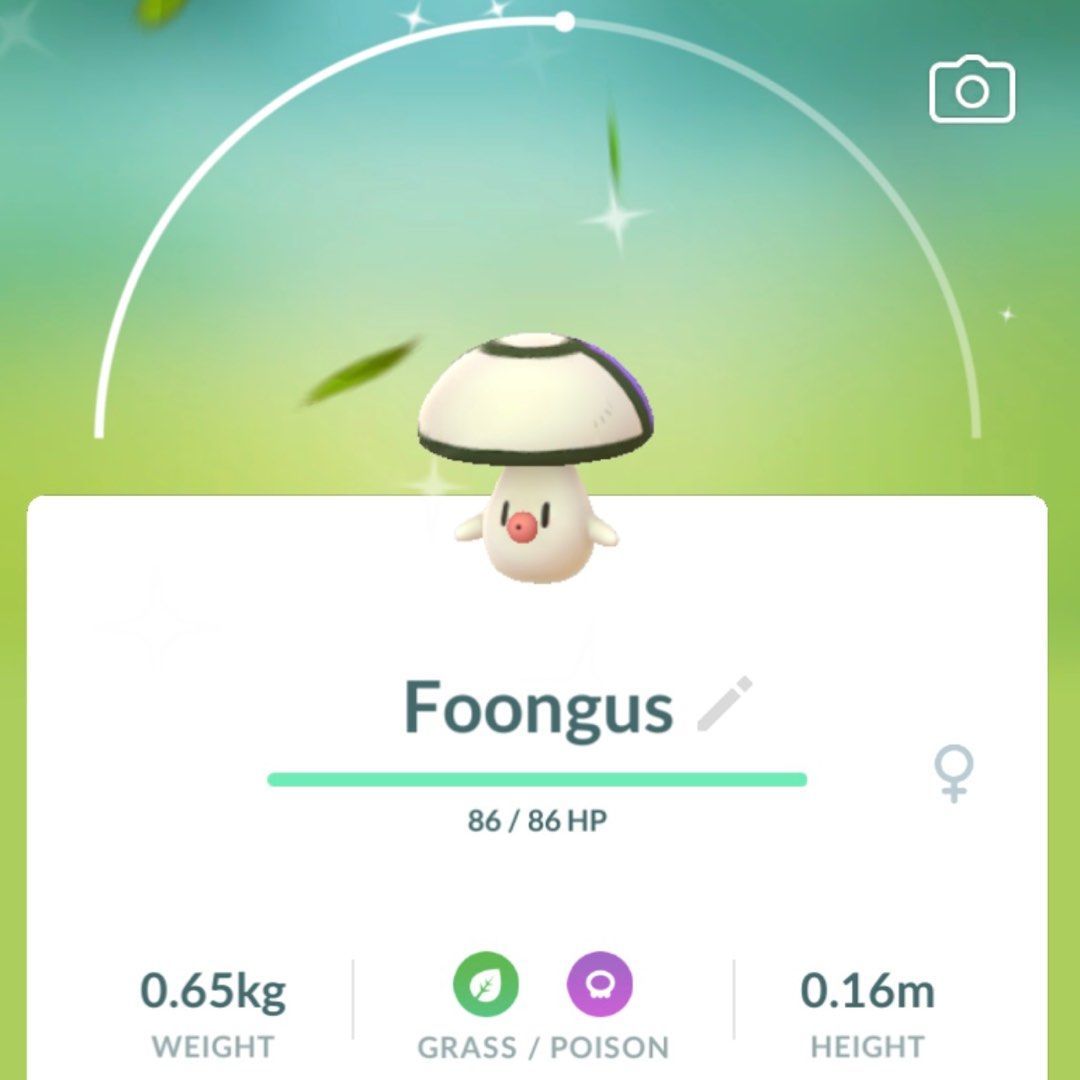 shiny foongus