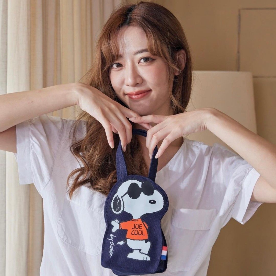 Snoopy bag, Hobbies & Toys, Toys & Games on Carousell