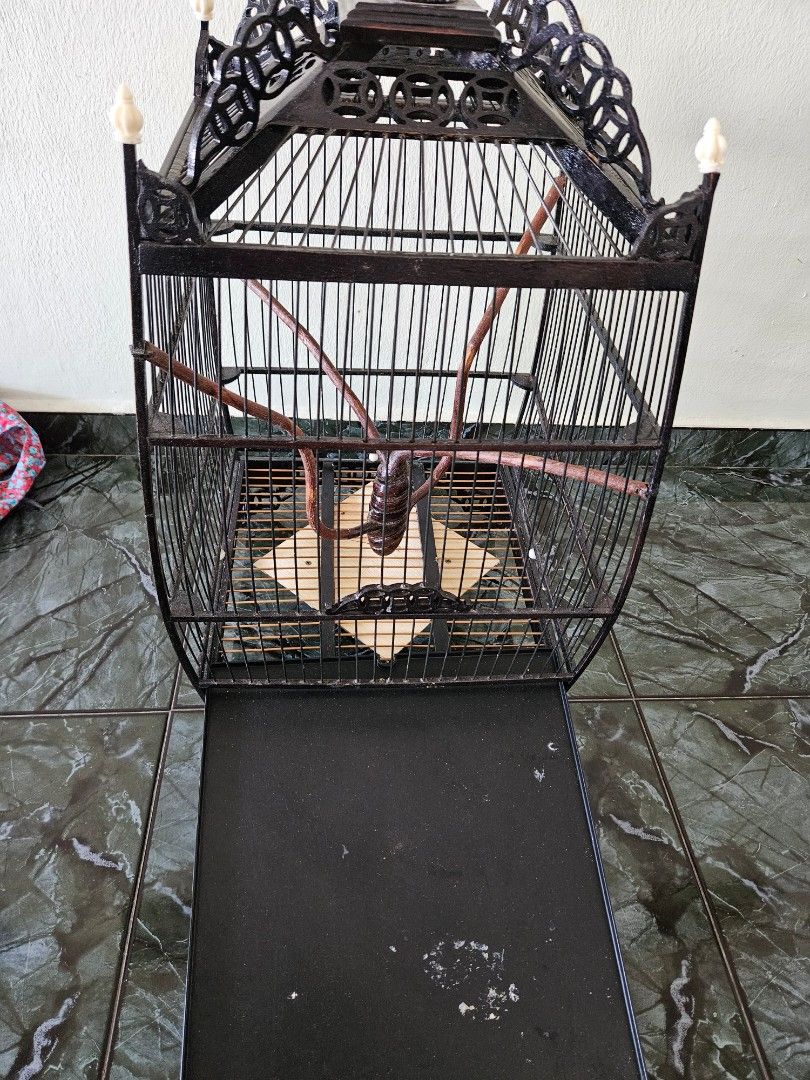 Square jambul penang cage, Pet Supplies, Homes & Other Pet Accessories on Carousell