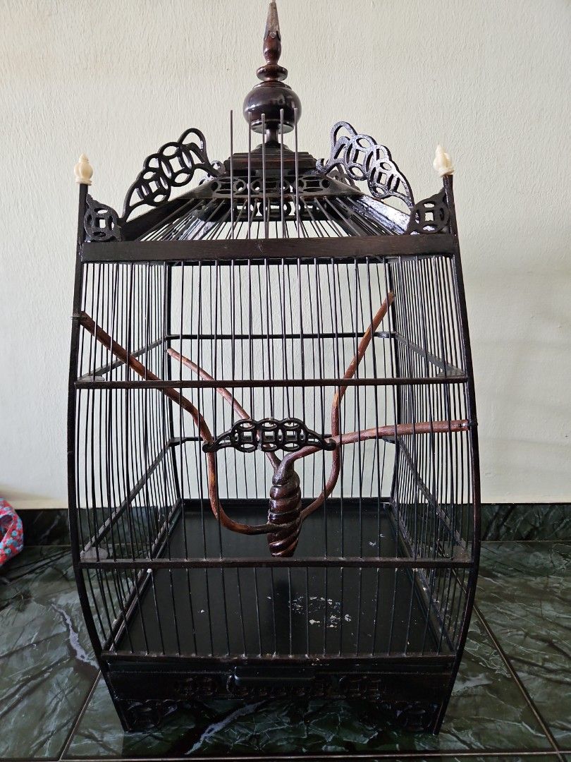 Square jambul penang cage, Pet Supplies, Homes & Other Pet Accessories on Carousell