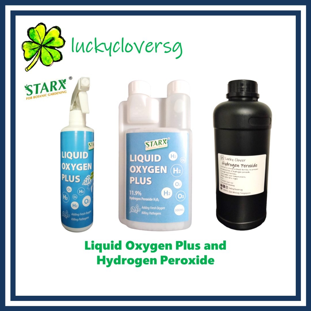 STARX Hydrogen Peroxide Liquid Oxygen Plus, Furniture & Home Living ...