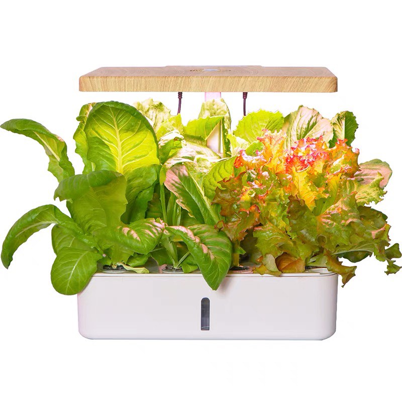 Table Top Hydroponic Garden System plant growing, Furniture & Home ...