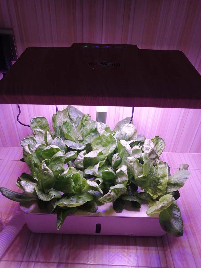 Table Top Hydroponic Garden System plant growing, Furniture & Home ...