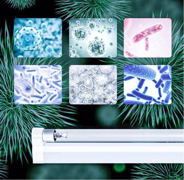 UVC light (Philip brand) DIY UV Sterilizer Box, Beauty & Personal Care ...