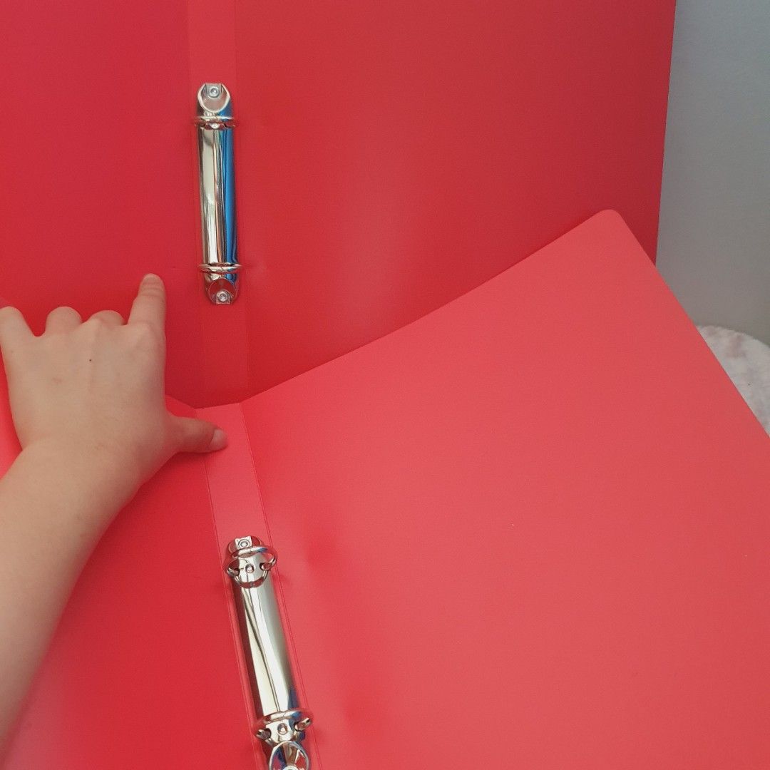 Bundle Assorted 2 Ring Binder Folder Kokuyo Askul Lion (some has scratches, bawal sa maselan ...