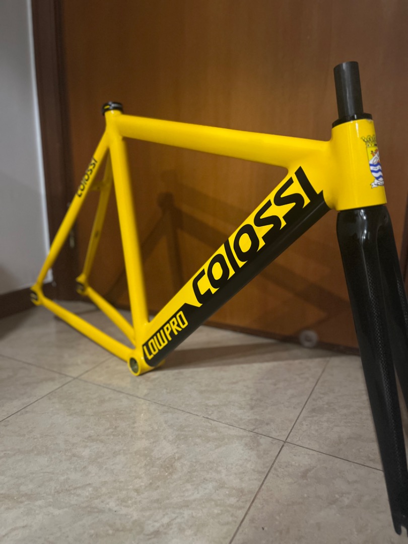 Colossi LowPro Frameset Fixie FS WTS WTT, Sports Equipment, Bicycles ...