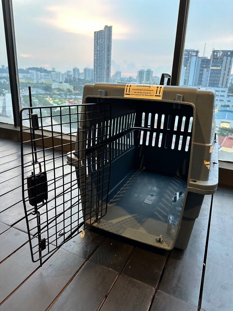 Dog travel crate IATA - airline approved, Pet Supplies, Homes & Other ...