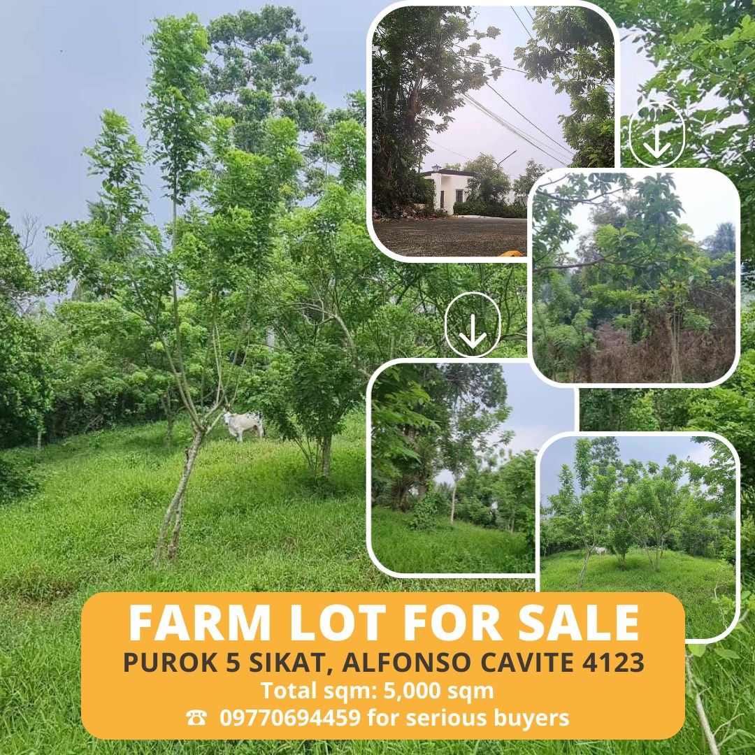 FARM LOT for Sale Alfonso Cavite (great place for events venue, farmhouse, resthouse, investment ...
