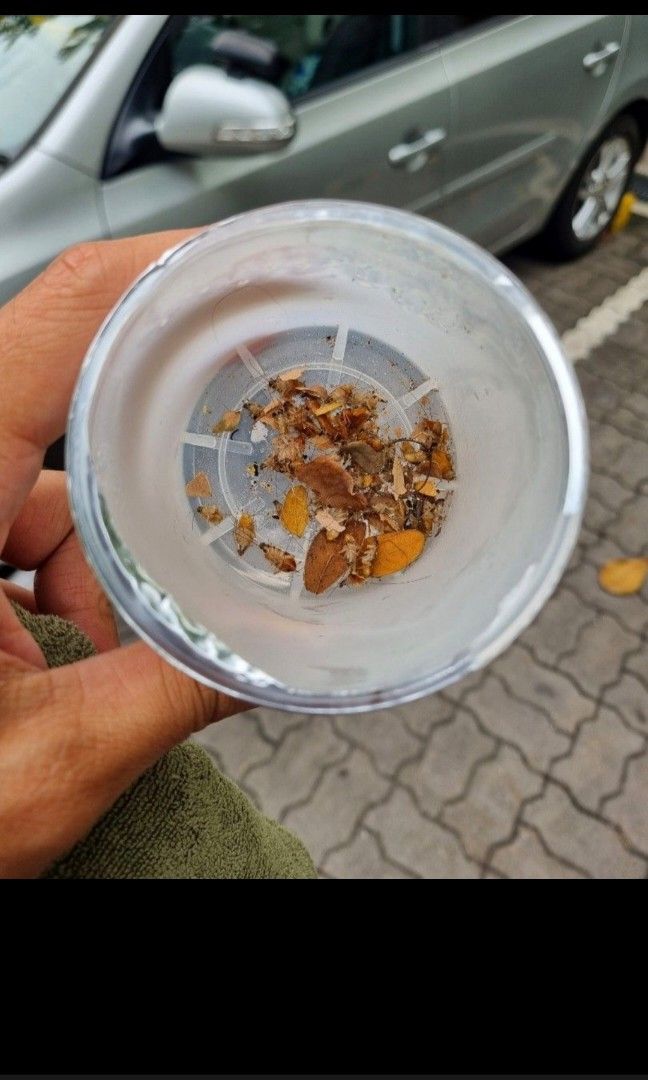 Island wide fumigation service, Car Accessories, Car Workshops ...