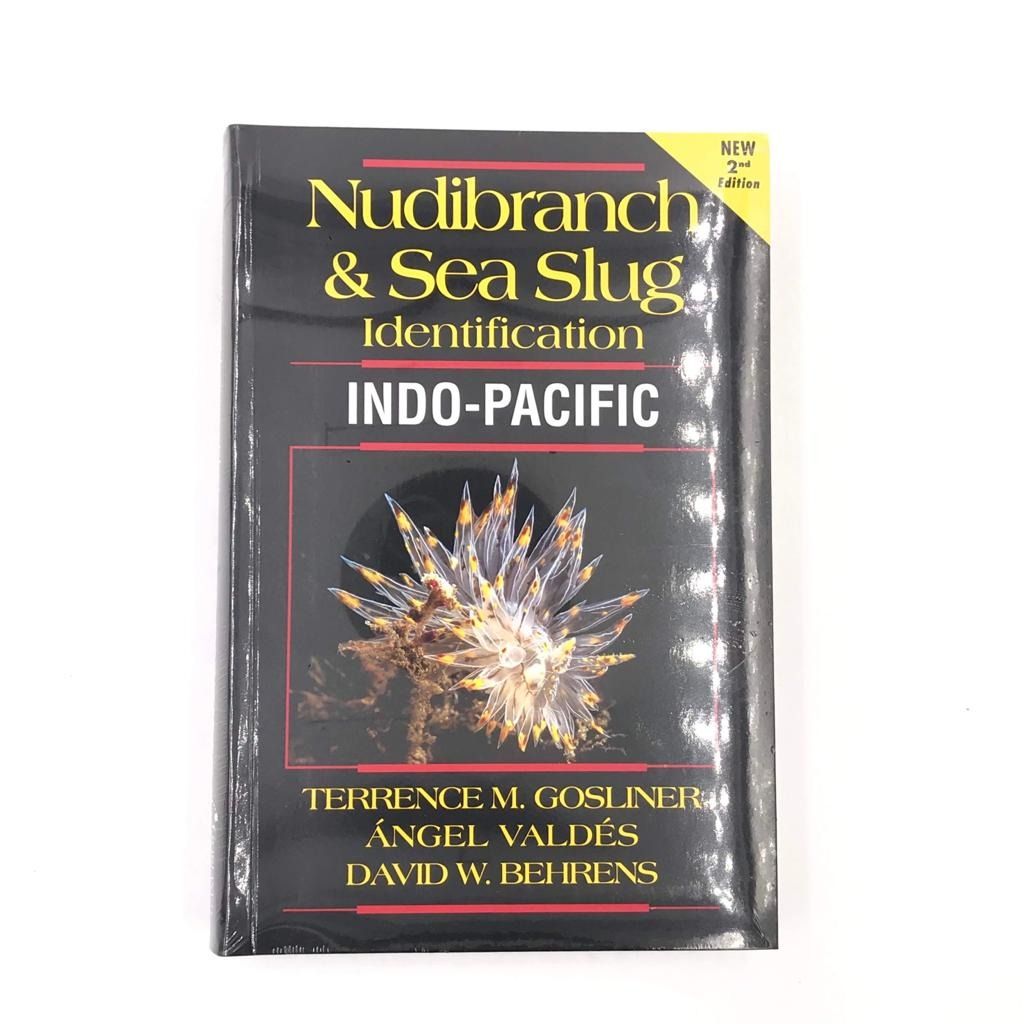 Nudibranch & Sea Slug Identification - Indo-Pacific, Hobbies & Toys ...
