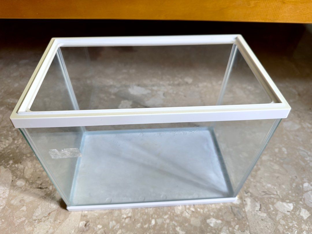 Rectangular fish tank, Pet Supplies, Homes & Other Pet Accessories on ...