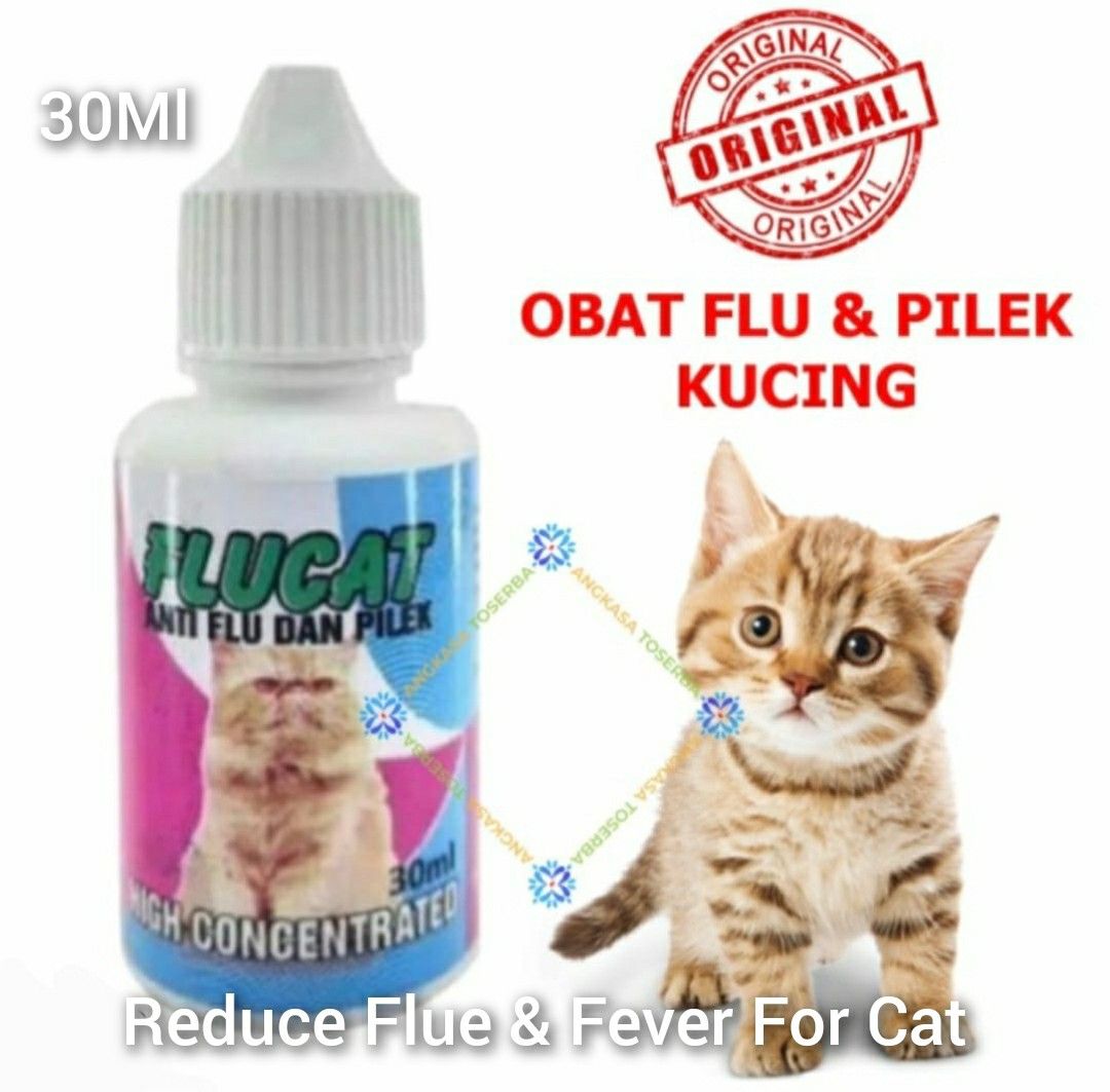 Reduce Flue and Fever for cat kitten super effective Great deal just ...