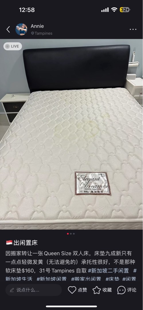 STYLEMASTER, Furniture & Home Living, Furniture, Bed Frames ...