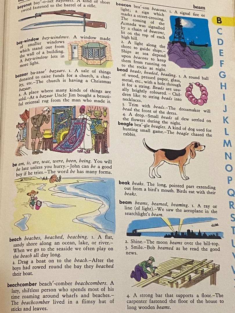 The GIANT All-Colour Dictionary (Hamlyn), Hobbies & Toys, Books ...