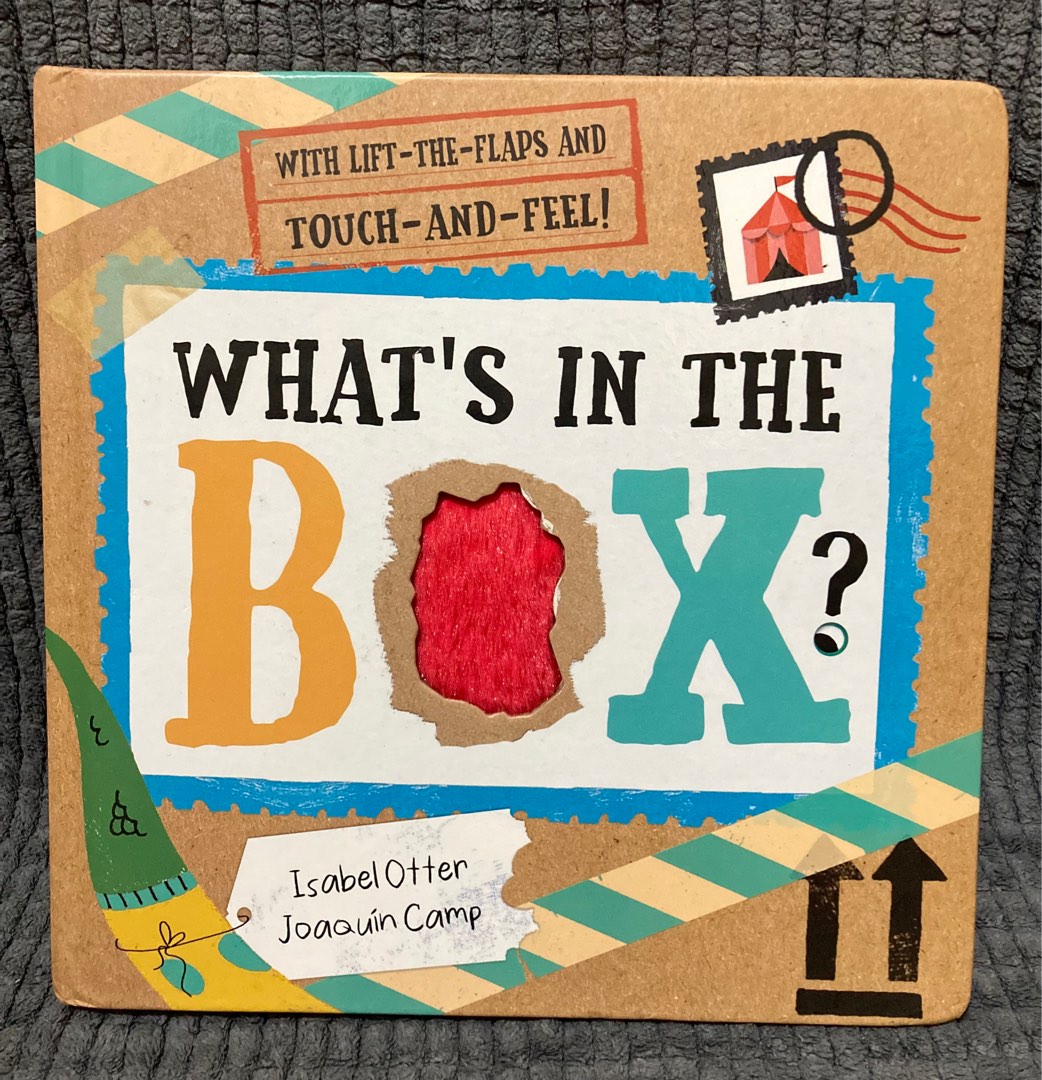 What's in the box touch and feel, flip and open book, Hobbies & Toys ...