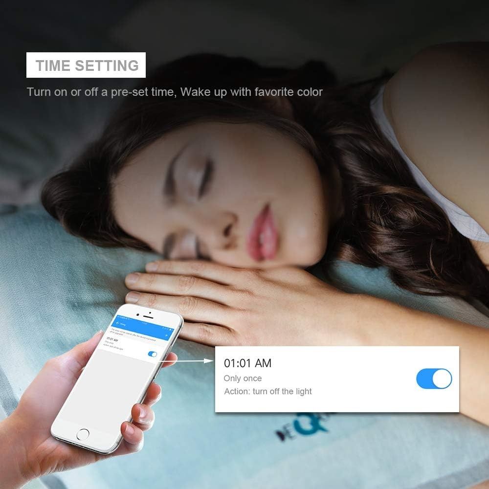 WiFi LED Controller: Alexa Compatible.Supports Addressable IC Strip ...