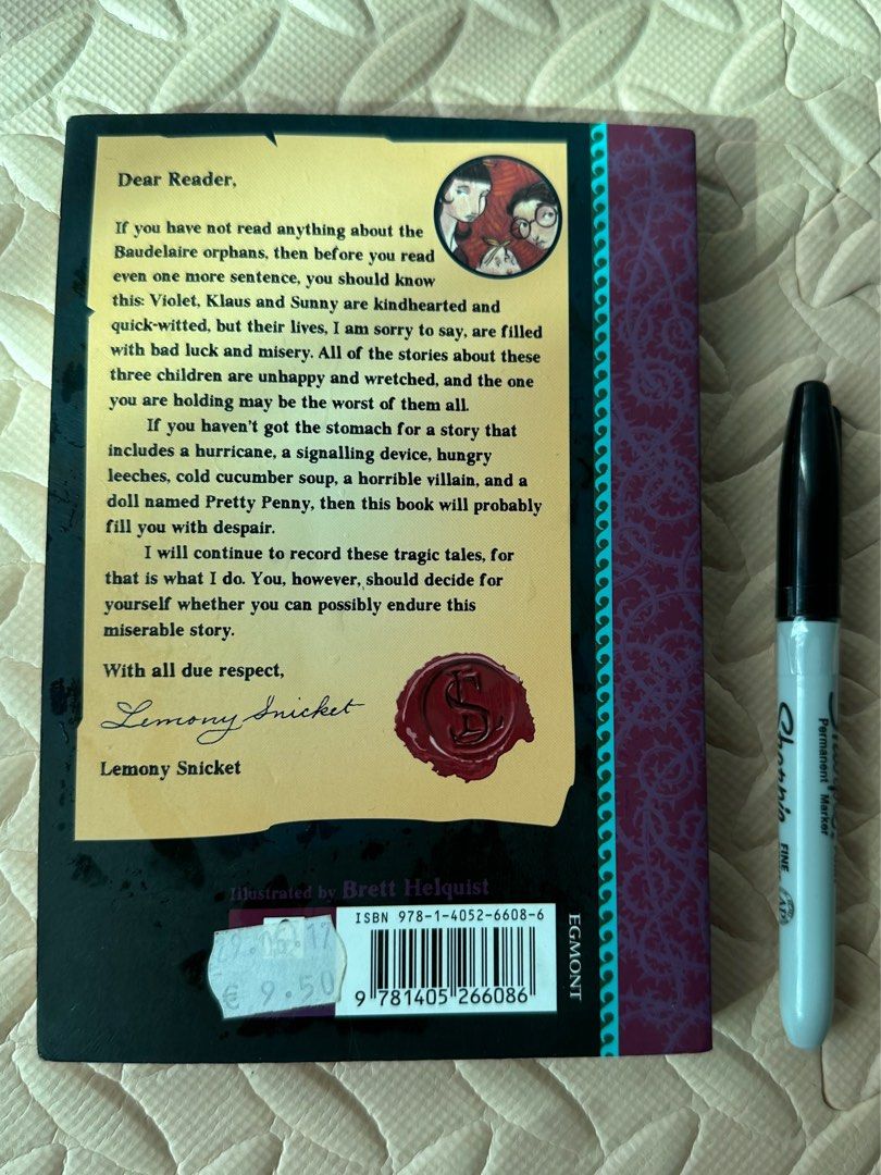 A Series of Unfortunate Events The Wide Window Book 3 on Carousell