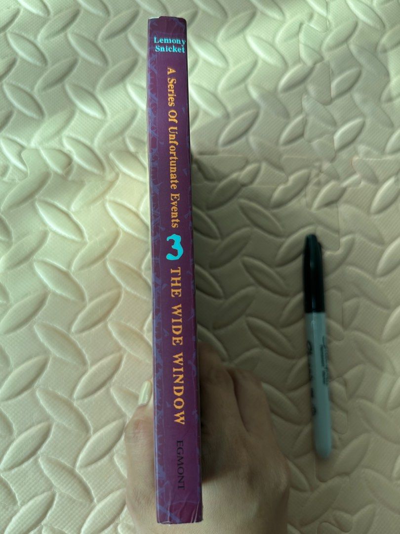 A Series of Unfortunate Events The Wide Window Book 3 on Carousell