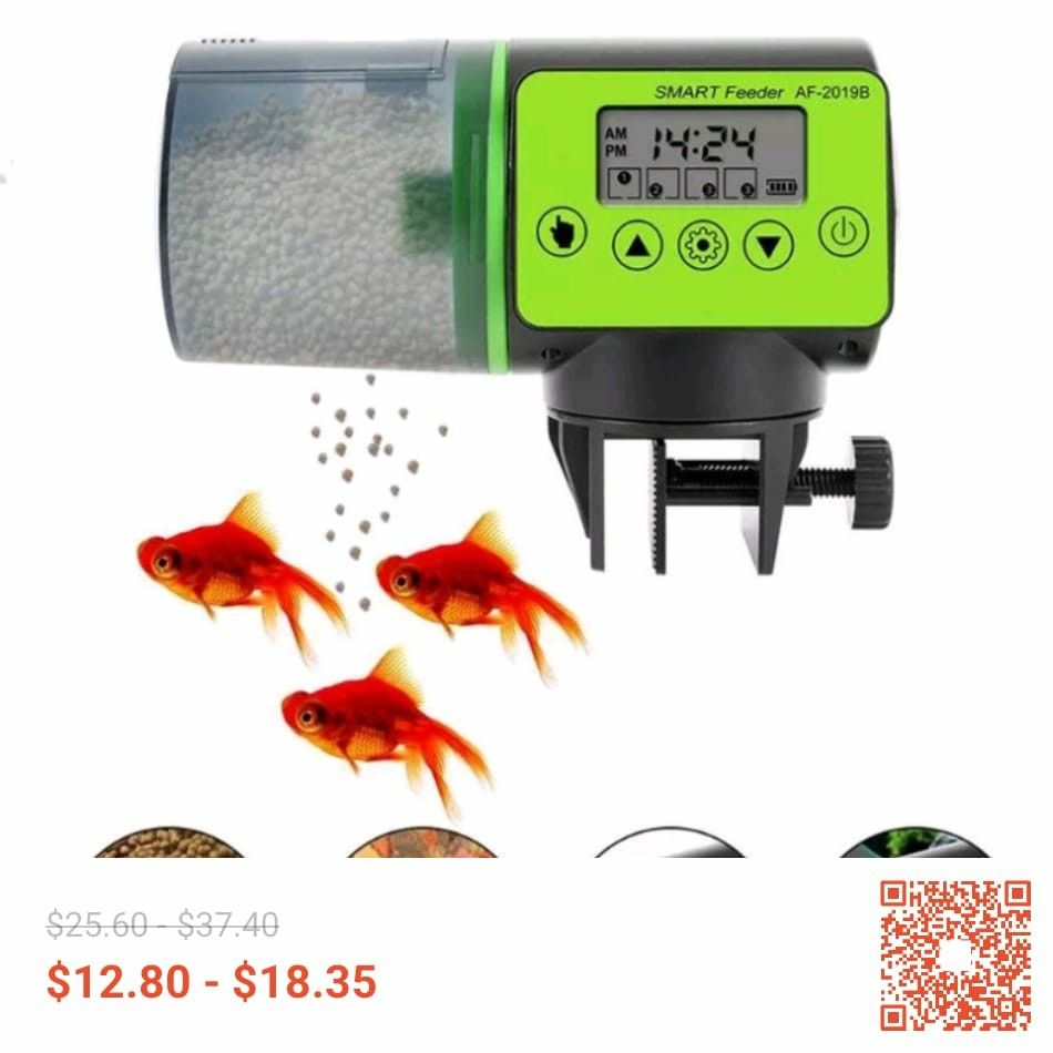 Digital Auto feeder food for fishes or any small pet, Pet Supplies, Homes & Other Pet ...