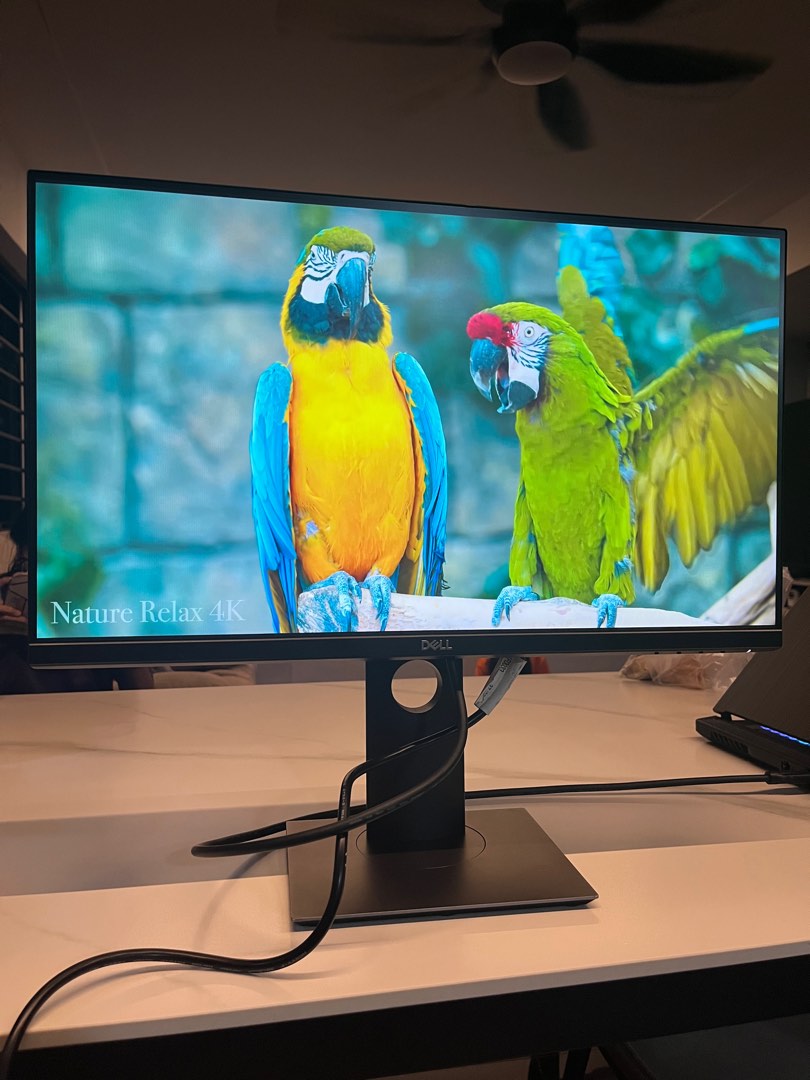 DELL P2419H 24" inch FHD IPS Monitor Height Swivel Rotate Landscape ...